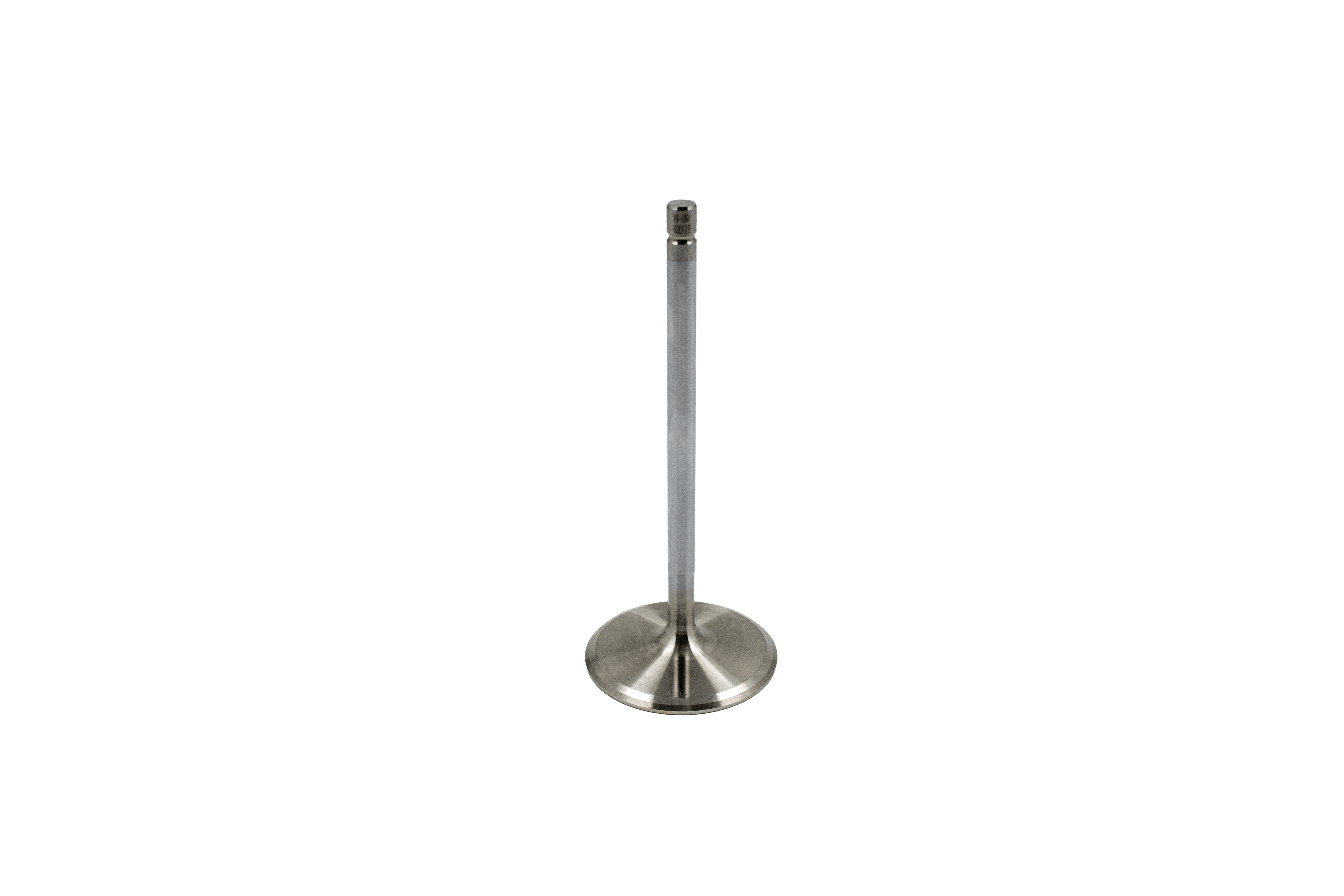 Intake Valve Kit 2.250 Dia - 5.550 Valve Length - Solid Roller - Light ...
