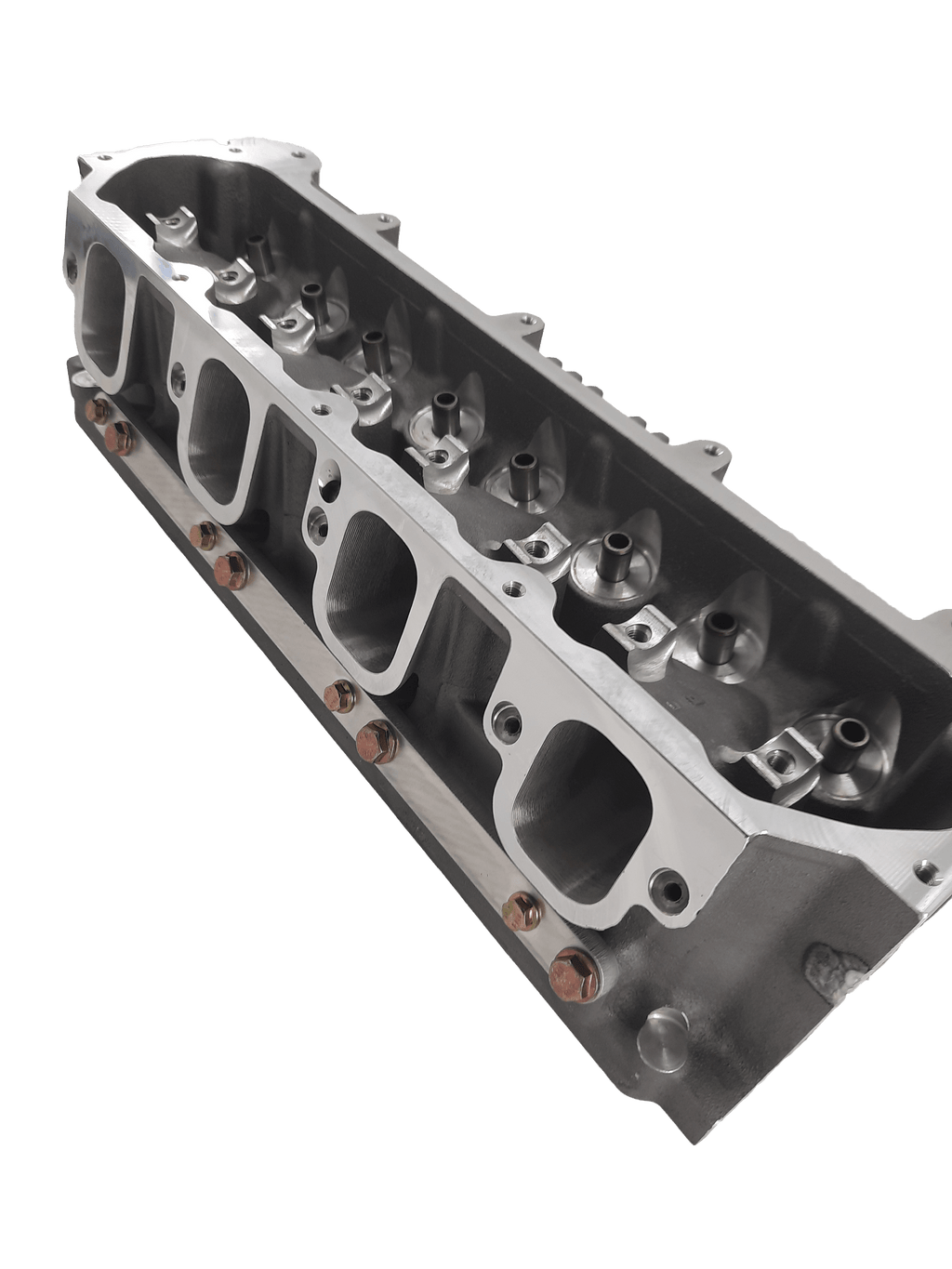 LST Direct Injection Plug Kit – Mast Motorsports