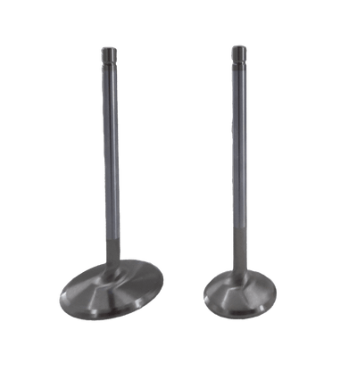 Titanium Intake Valves – Mast Motorsports